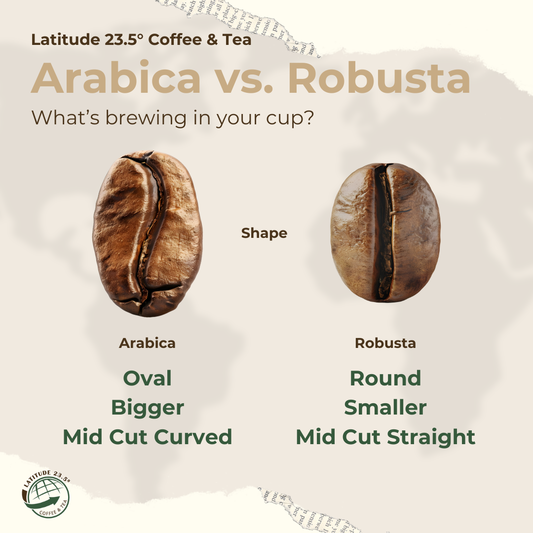 Arabica vs. Robusta: Understanding the Key Differences – Latitude 23.5 ...